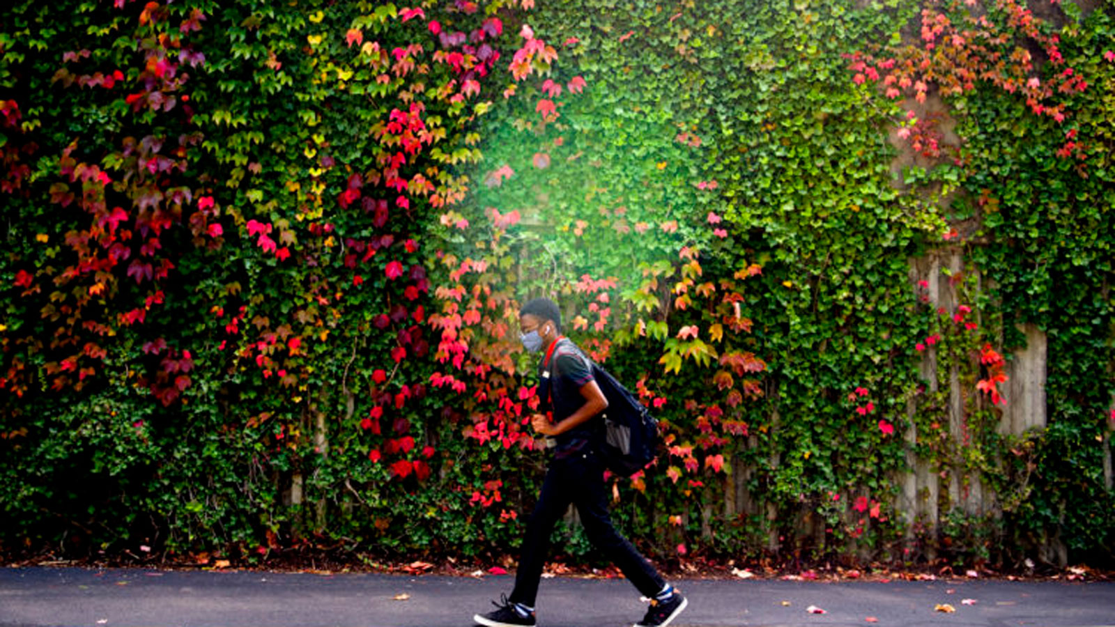 Proposal & Award Policies & Procedures Guide (PAPPG) has been issued ...